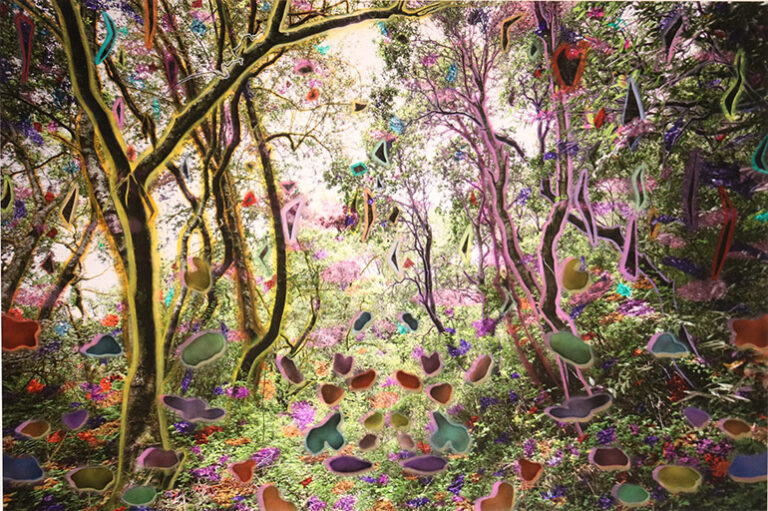 Robin Rosenberg Fine Art | Sarah Anne Johnson